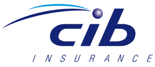 Products & Services: CIB